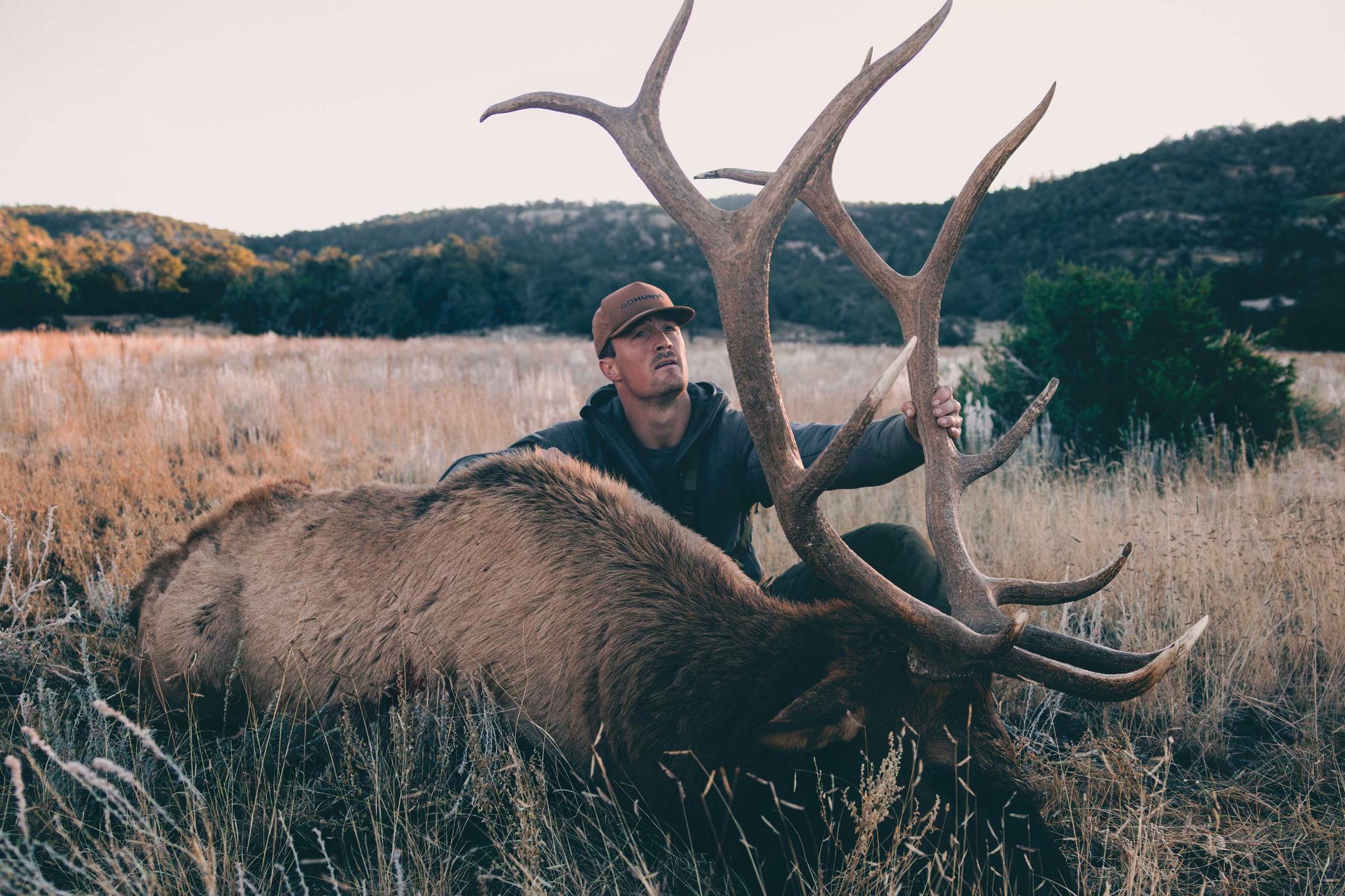 Application Services, E-scouting, and hunt planning. Insider+ // GOHUNT ...