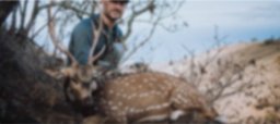 Colorado Unit 15 Unit Profile // GOHUNT. The Hunting Company