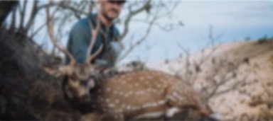 Colorado Unit 76 Unit Profile // GOHUNT. The Hunting Company